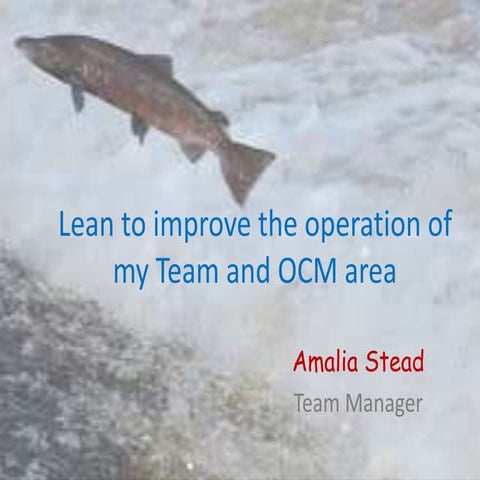 Amalia Stead - area manager presentation | PPTX | Business | Business ...
