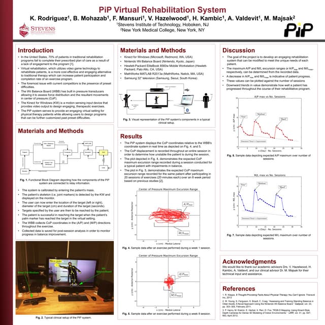 PiP Poster PDF | PDF