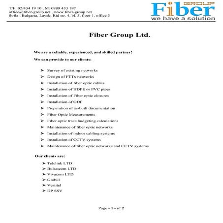 Fiber Group Presentation EN | PDF