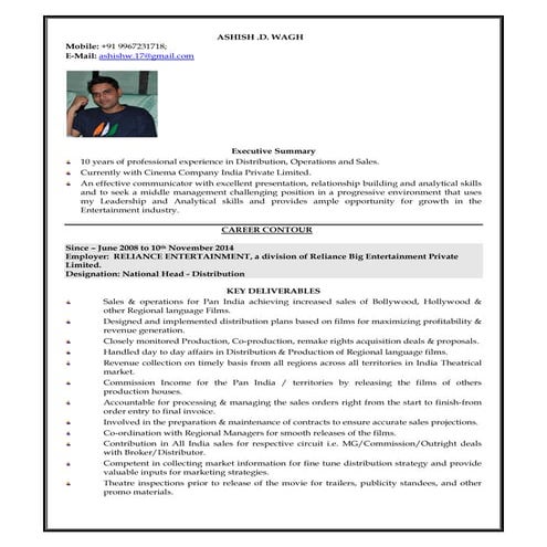 Ashish D Wagh - Profile | PDF