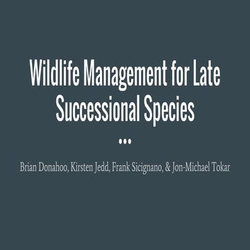 Wildlife Presentation | PPT