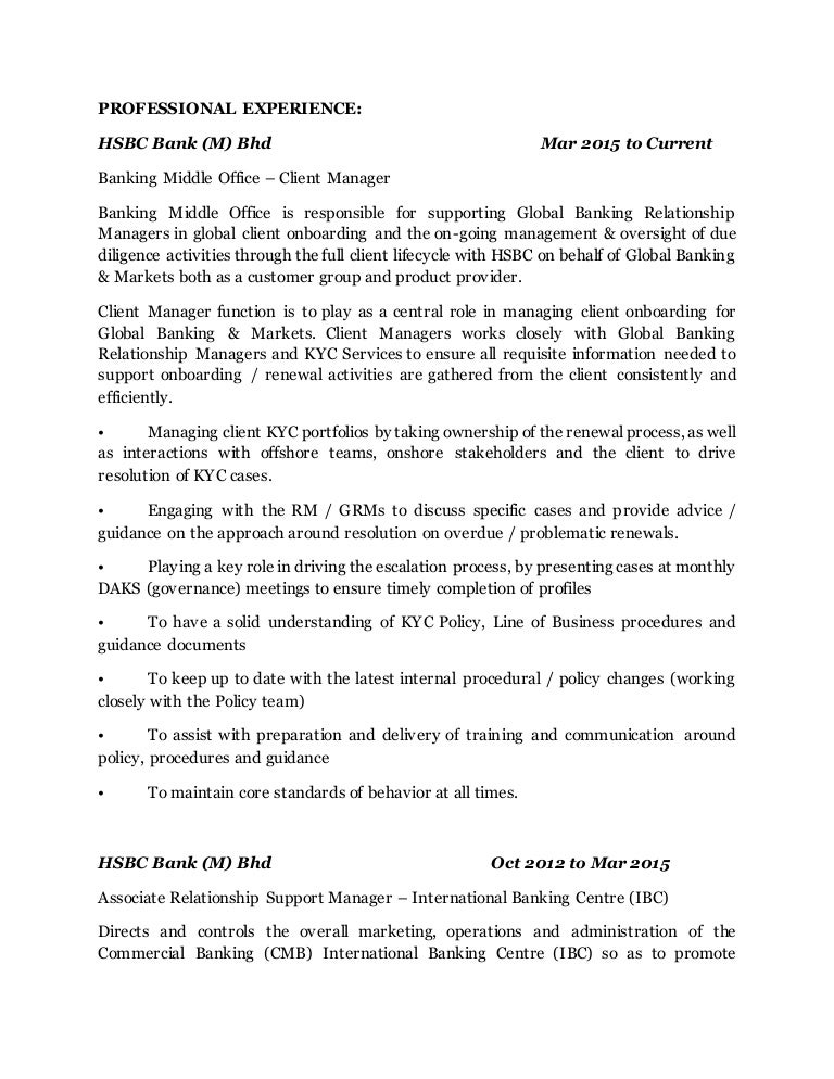 PROFESSIONAL EXPERIENCE