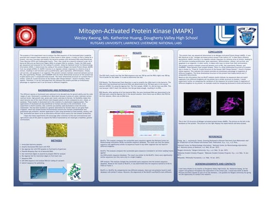C value paradox | PPT