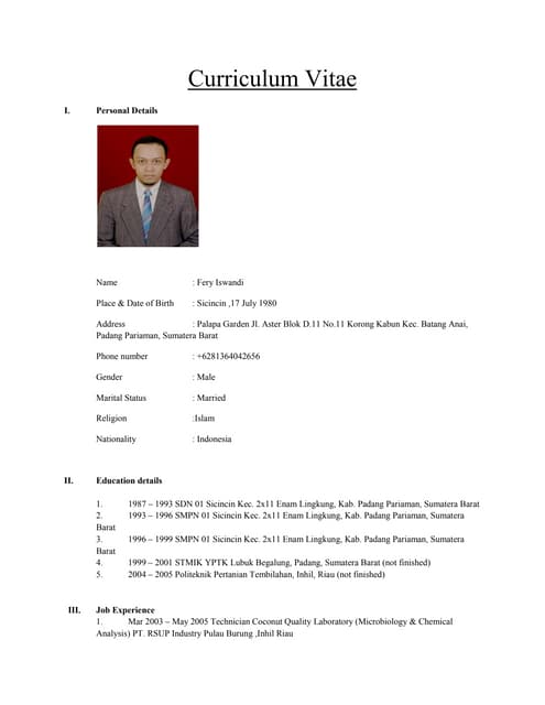 Budi's Curriculum Vitae | PDF