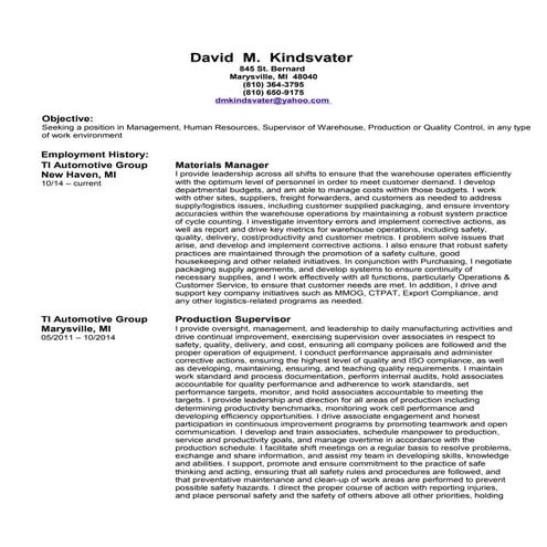 David Resume New | DOC