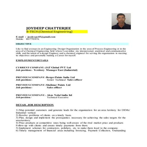 CV JOY updated | DOCX