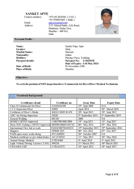 Nazim cv Camp Boss | DOC