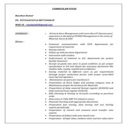 CV For Store Keeper | DOC