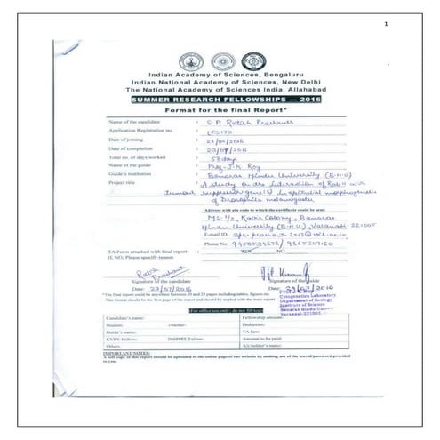 IAS Final Report | PDF