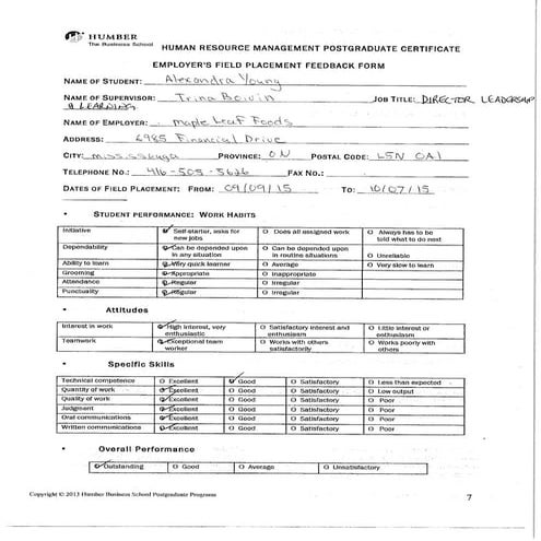 MLF Evalutation AlexandraYoung | PDF