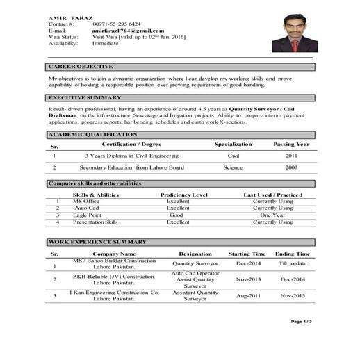 Amir Faraz CV | PDF