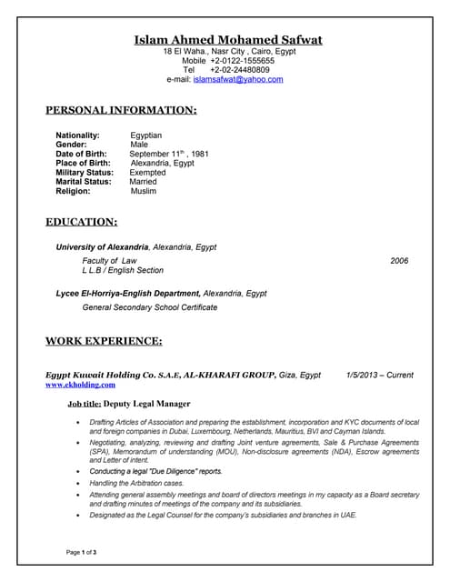 wael abdin cv | DOCX | Legal Services Industry | Industries