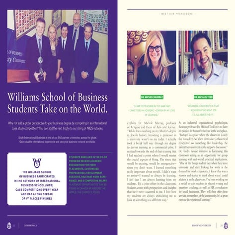 NIBS Segment of Viewbook | PDF