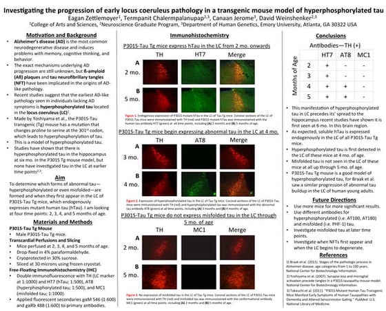 DUCOG Tau poster_JJ | PDF