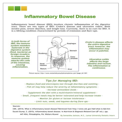 IBD Handout | PDF