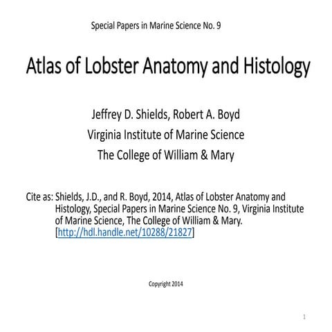 Lobster Atlas | PDF