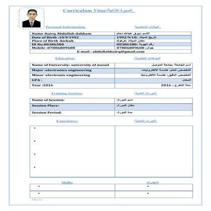 Arabic-English-CV | PDF