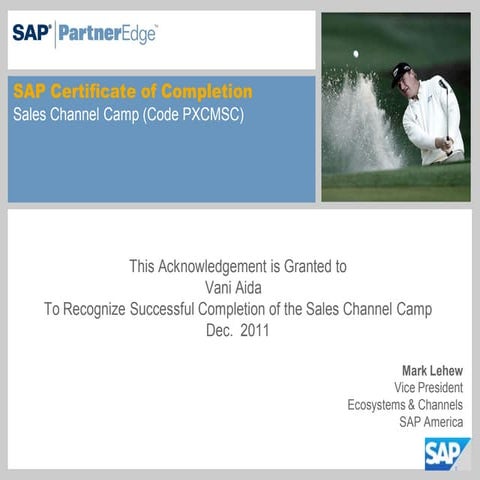SAP_Cerification | PDF