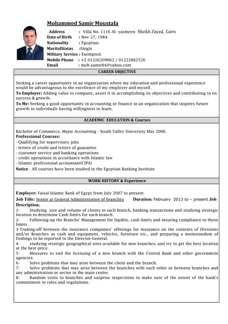 Ibrahim abd el karem cv (autosaved) | PDF