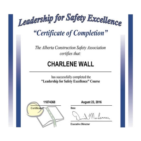 LEADERSHIP FOR SAFETY EXCELLENCE | PDF