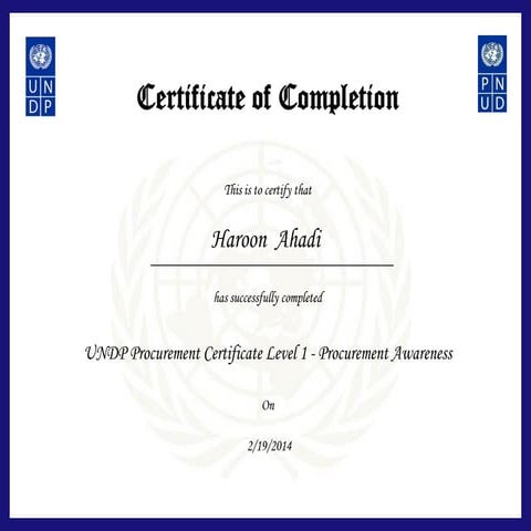 Procurement Level 1 | PDF