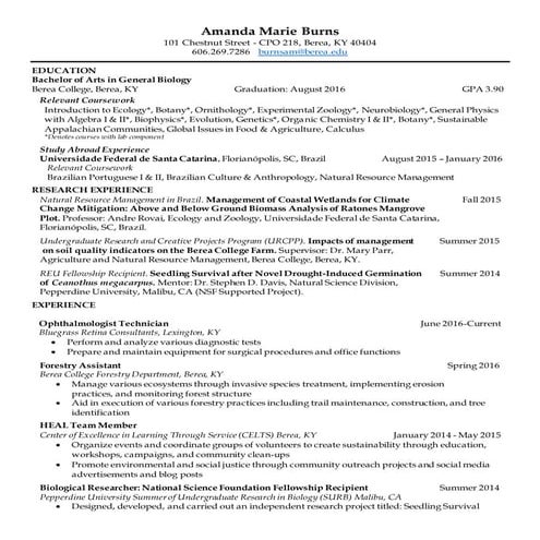 Noel CV | DOCX