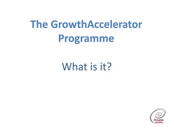 Business Accelerator.pptx
