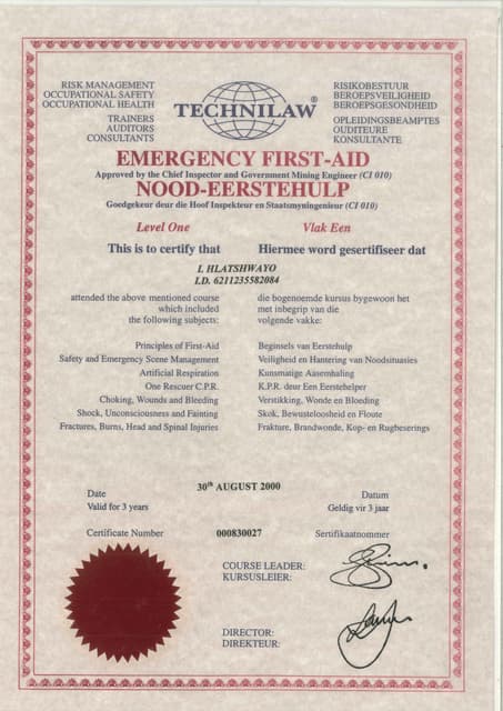 Emergency First Aid Level One | PDF