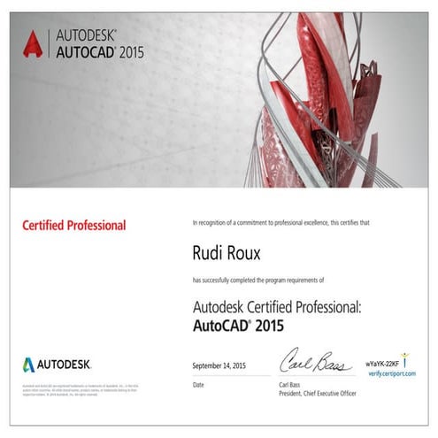 Cert-CAD | PDF