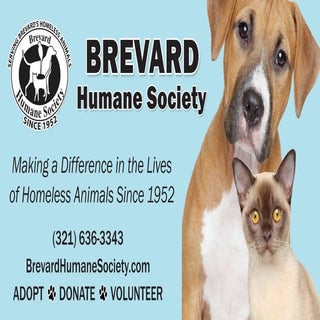 Brochure for Humane Society | PDF