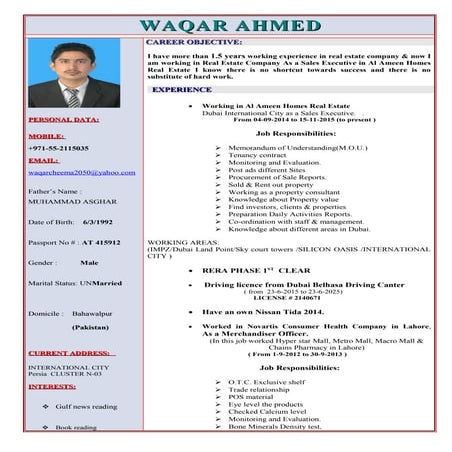 WAQAR AHMED CV | DOC