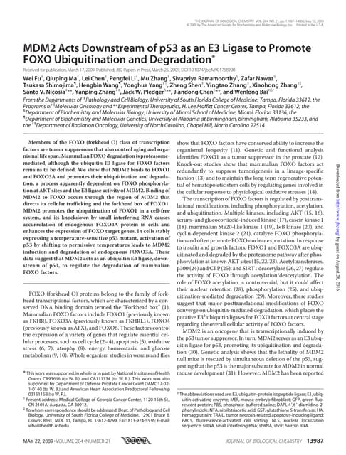 BMES poster 2013 | PPT