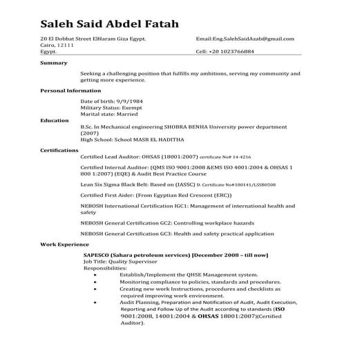 Saleh Said cv | PDF