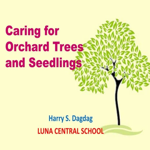 AGRI 6 ORCHARD PLANNING AND LAYOUT.pptx