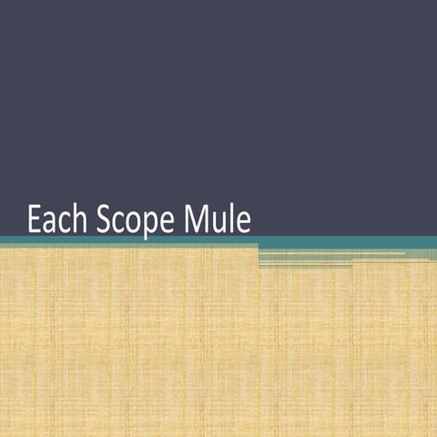 Each scope mule | PPT