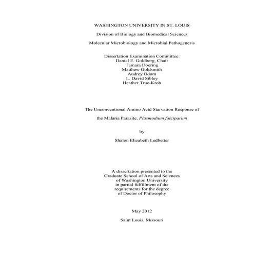 Ledbetter Thesis Dissertation Final | PDF