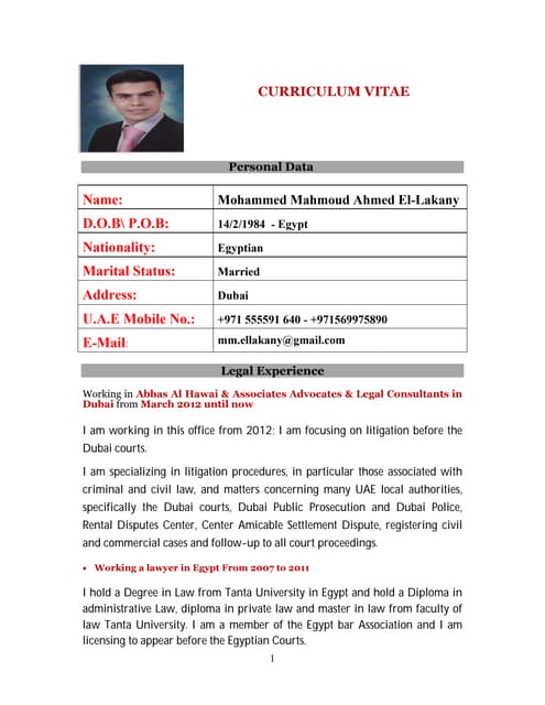 Curriculum Vitae -Mahmoud Amer | PDF