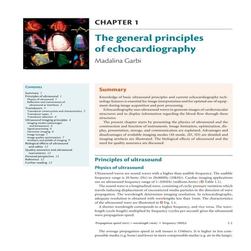 EAE Textbook of Echocardiography - sample | PDF