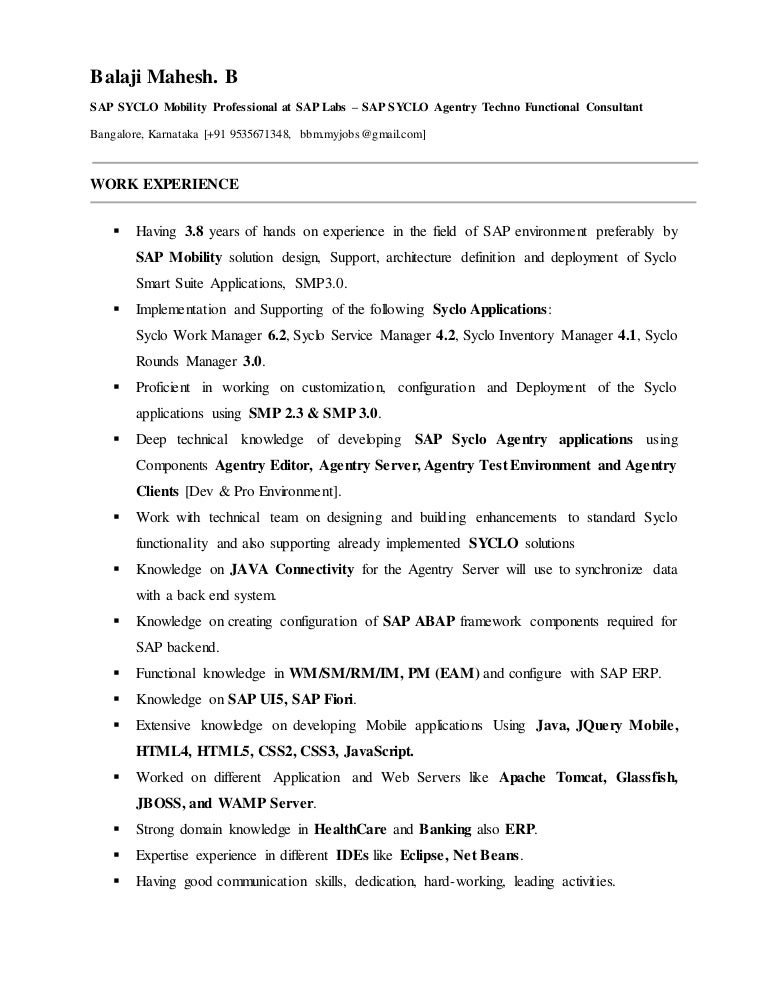 Syclo Techno Functional Consultant