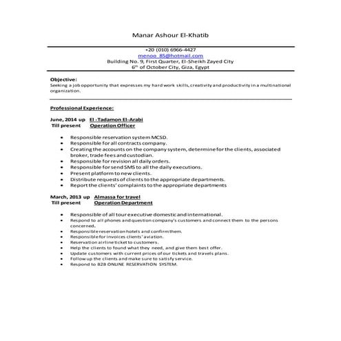 CV Manar Ashour Elkhatib | PDF
