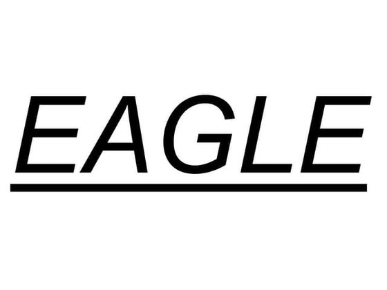 Lessons From The Life Of An Eagle | PDF | Birdwatching | Hobbies ...