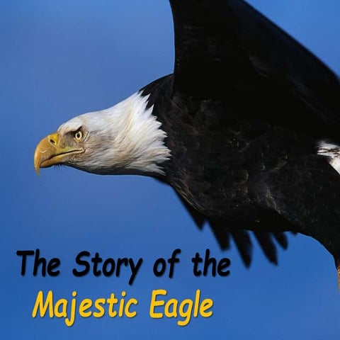 Eagle rebirth | PPT