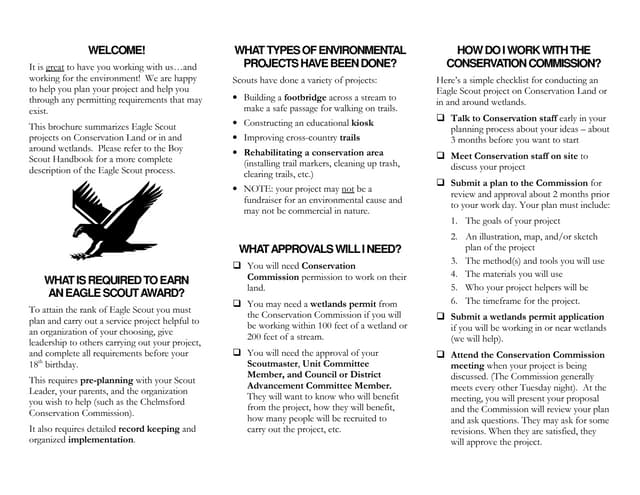 Eagle scout brochure | PDF