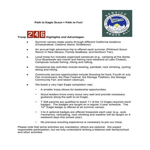 Eagle Scout Info | PDF