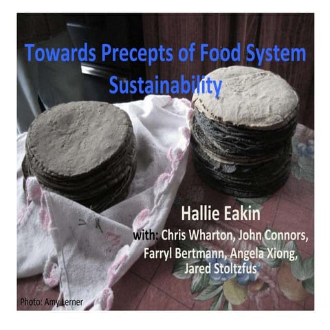 Towards Precepts of Food System Sustainability | PPT
