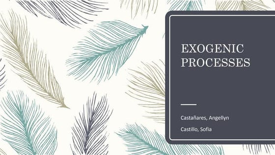 EXOGENIC PROCESS PPT | PPTX