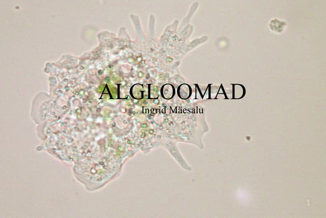 Eesti maavarad | PPT