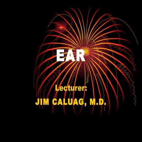 Ear | PPT | Ear, Nose and Throat Conditions | Diseases and Conditions