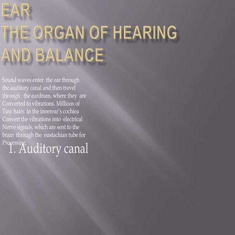 Ear | PPT