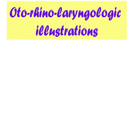 Otoendoscopy - Types, Uses, Procedures performed, Advantages and ...